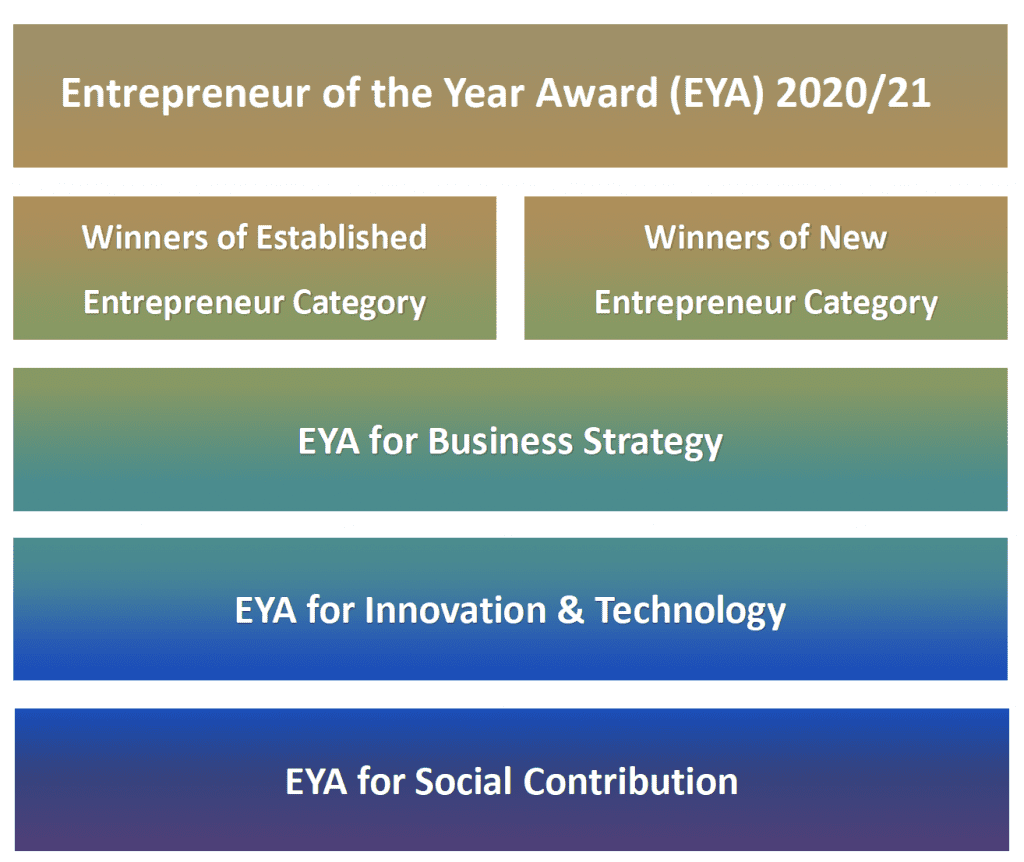Award Structure - The Entrepreneur Of The Year