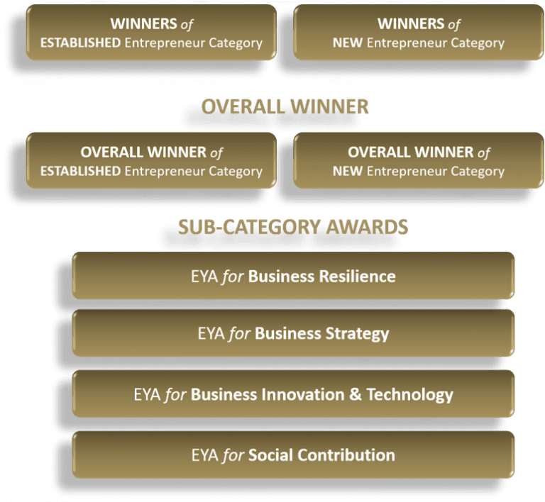Award Structure - The Entrepreneur Of The Year